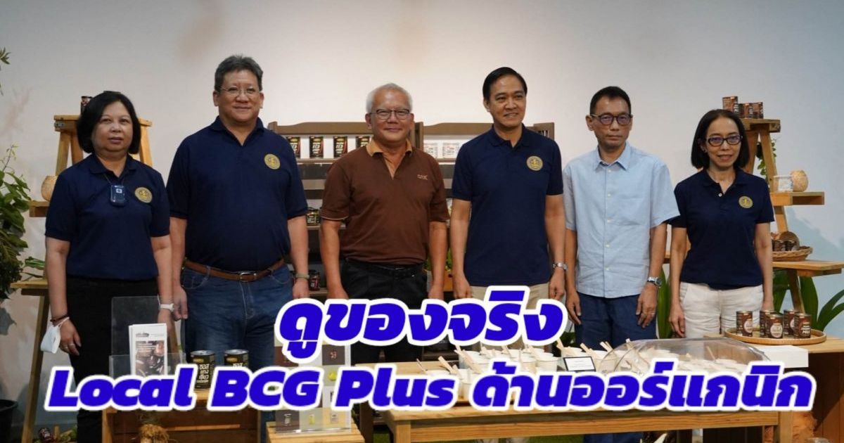 ดูของจริง Local BCG Plus ด้านออร์แกนิก