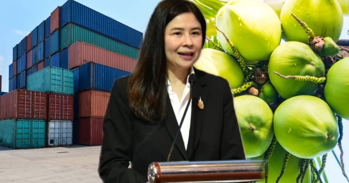 ใช้สิทธิ์ GSP ส่งออกปี 67 เพิ่ม 3.96% เผย “มะพร้าว”สุดฮิต ยึดตลาดอันดับหนึ่งสหรัฐฯ